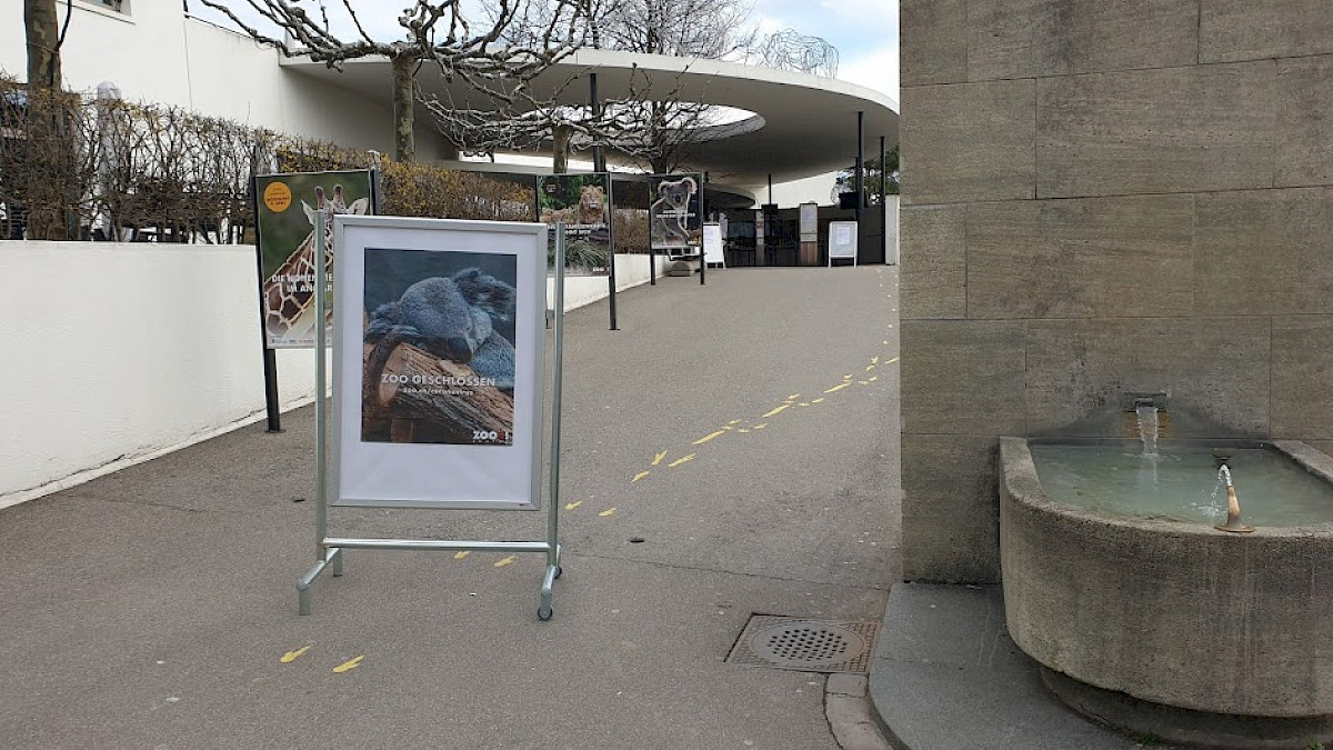 Fieberkurve zeigt noch steil nach oben | News | Aktuell | investrends.ch